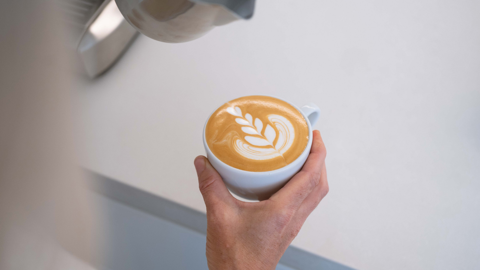 Veneziano Coffee Roasters | Specialty Coffee from beanz by Breville AU