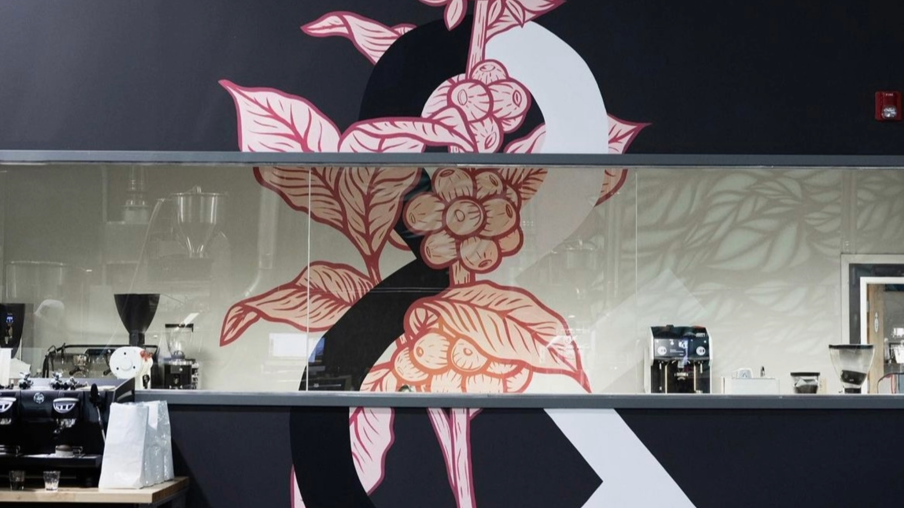 Black & White Roasters Coffee Subscription | Unique Roasters from Beanz